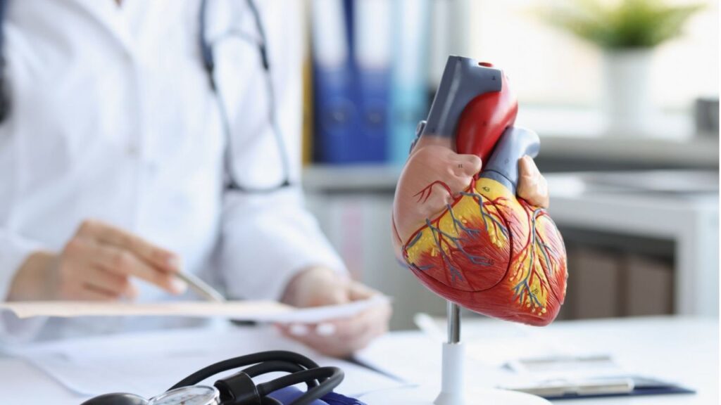Cardiologista: guia completo sobre a atuação do profissional
