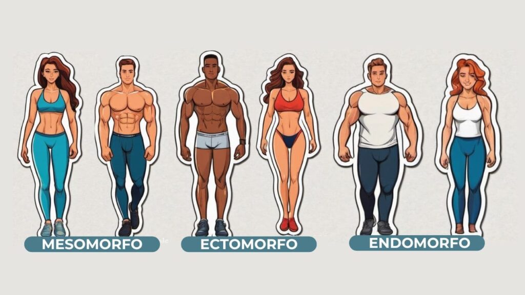 Mesomorfo: entenda tudo sobre - Blog AmorSaúde