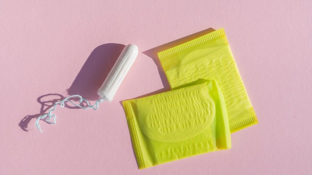 Cuidados ao usar o absorvente interno: confira